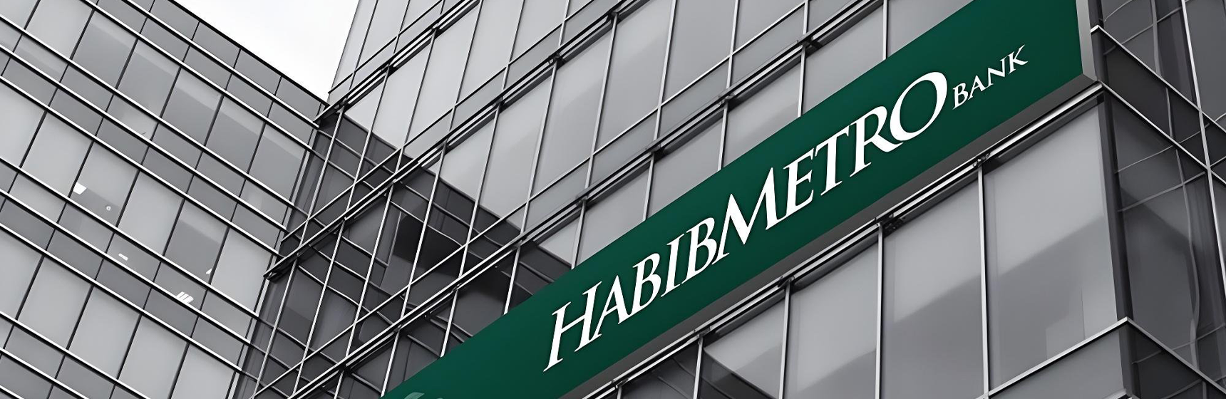 HabibMetro Bank Project Overview